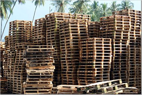 Used Wooden Pallet for Recycle