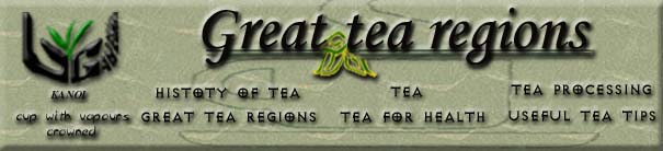 Great tea regions