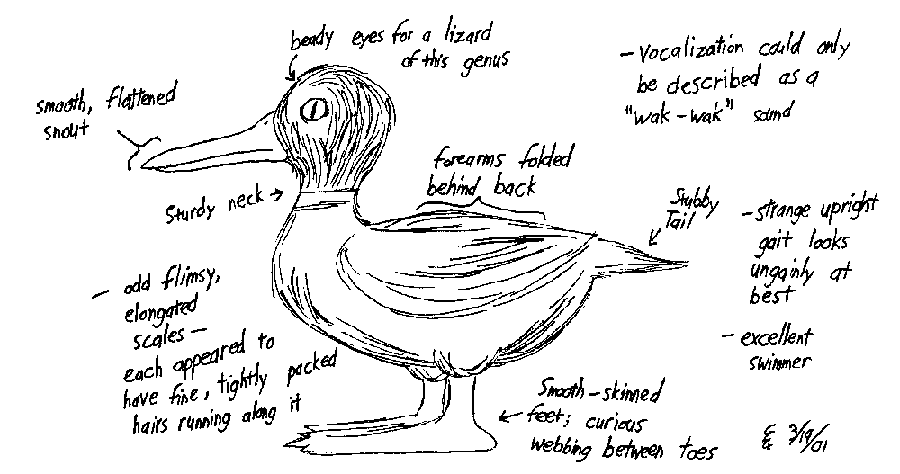 The Duck Mimic Page