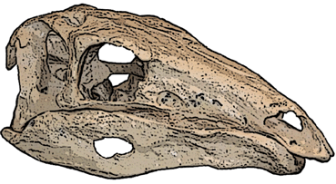Kaiju_Sensei_Dinosaur_Page