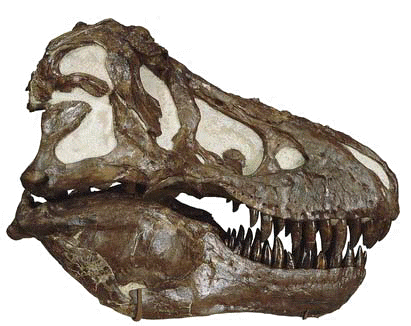 Kaiju_Sensei_Dinosaur_Page