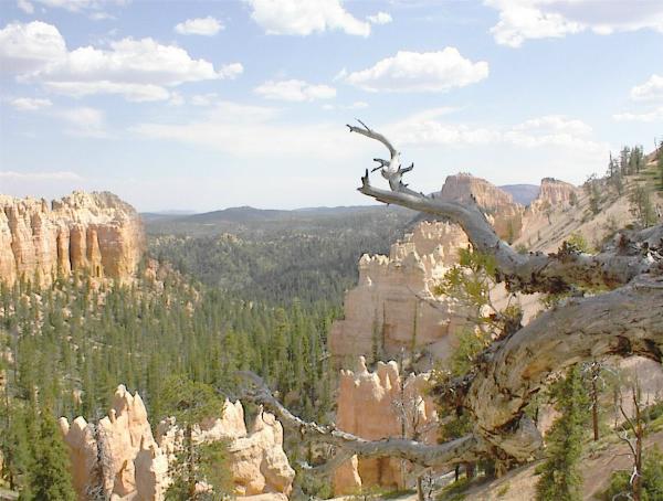 Bryce Canyon, UT