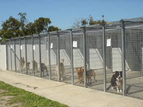 Granite Hill Boarding Kennel and Cattery