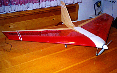 Delta Wing