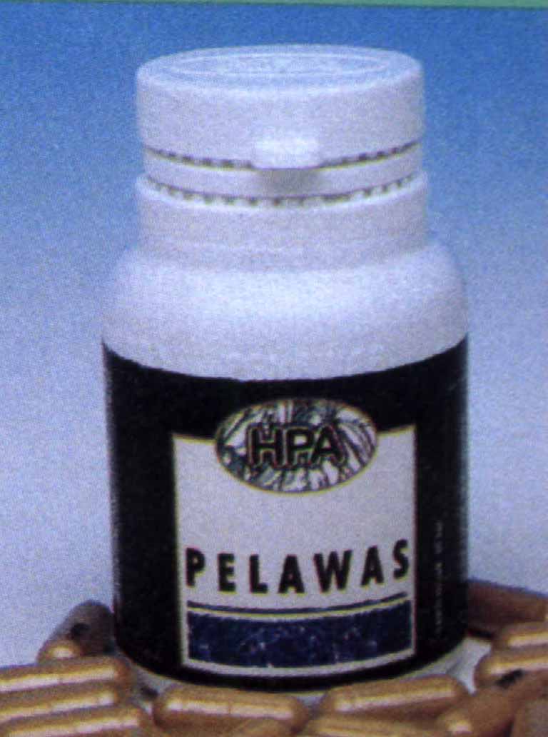 Pelawas