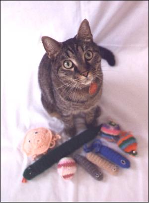 Happy Tabby Toys