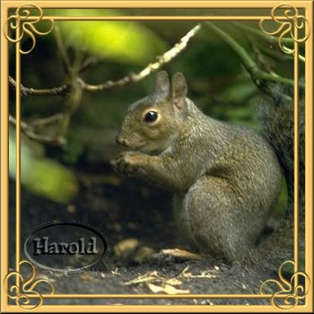 Saving PSP Frames Tutorial.