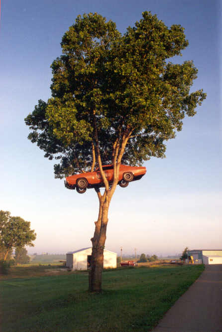 General Lee in the Tree