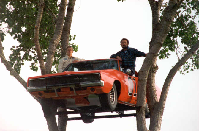General Lee in the Tree