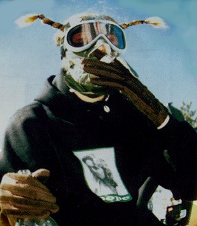 More pics of lovely Pakelika