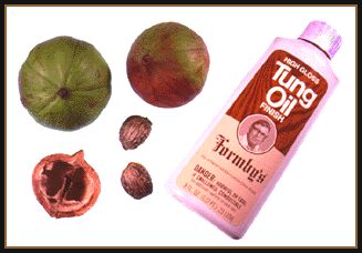 Untitled [www.geocities.ws]