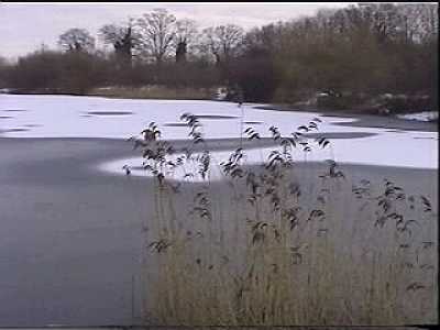Frozen Lake
