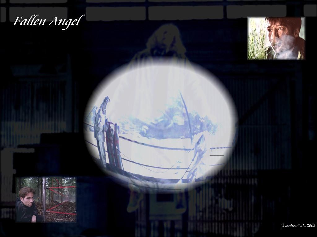 ***mrdreadlocks' x-files wallpaper***