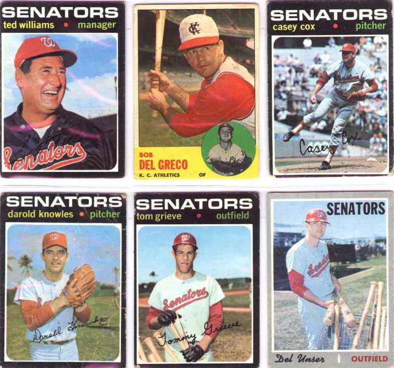 Washington Senators