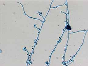 New Page 1 [www.geocities.ws]