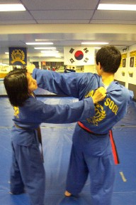 Brown Belt Ho Shin Sool Technique