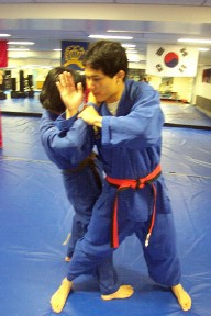 Brown Belt Ho Shin Sool Technique