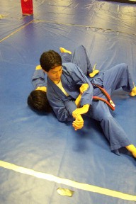 Blue Belt Ho Shin Sool Technique