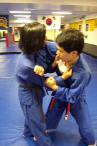 Blue Belt Ho Shin Sool Technique