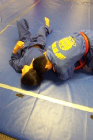 Brown Belt Ho Shin Sool Technique