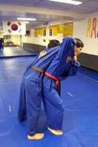 Orange Belt Ho Shin Sool Technique