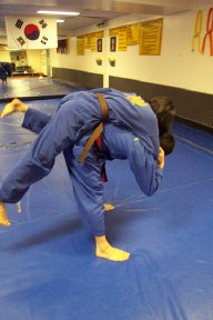 Orange Belt Ho Shin Sool Technique