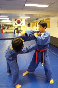 Orange Belt Ho Shin Sool Technique