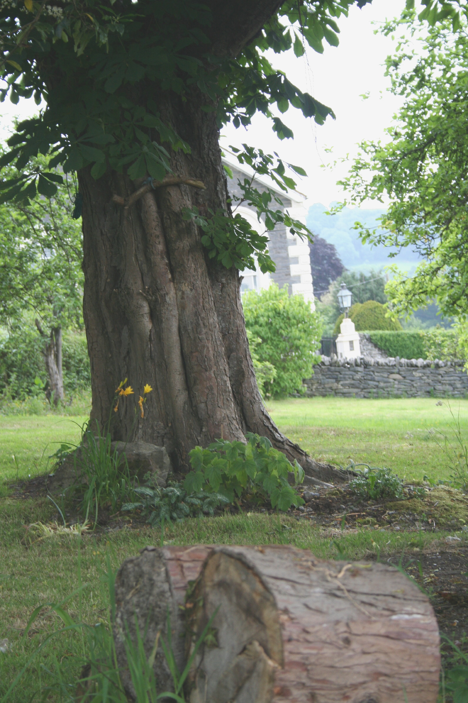 Heulfre Bed and Breakfast, Dinmael, Corwen, Conwy, North Wales