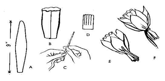 GuidingUK- Paper Daffodils