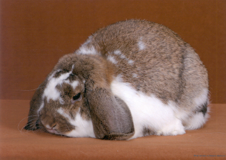 A Tribute to Bryan and Matthew Stevenson