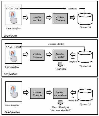 ProZone : Articles : Biometrics : Abhijith HN
