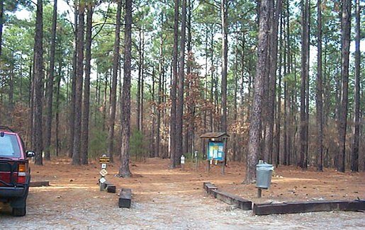 Mountain Biking - Harbison State Forest