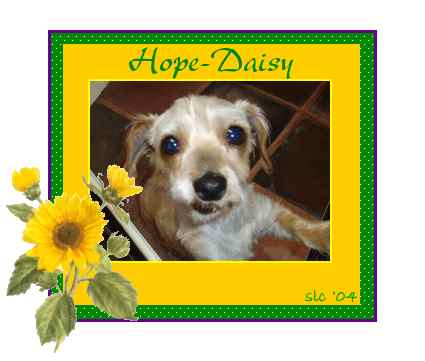 Hope Daisy