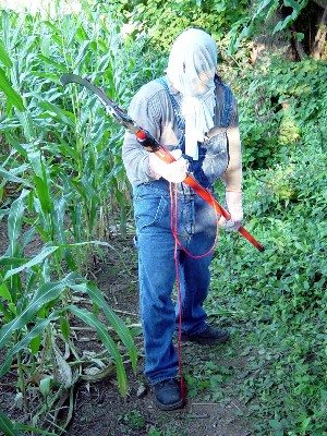 Horror Punk Productions | Cornstalker