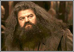 hagrid