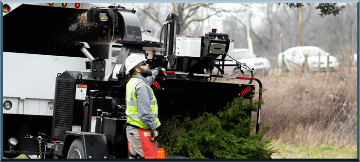 HUB - Vegetation Management