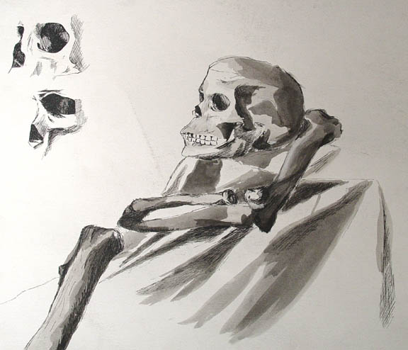 Ink Drawing Study of Skull Still life