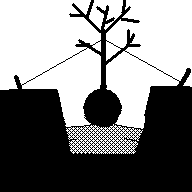 Determine Hole Size and Dig