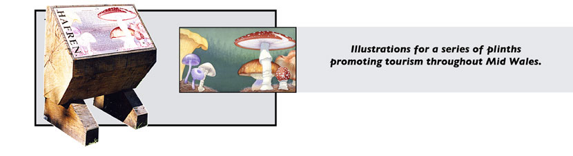 Ian Duerden Portfolio