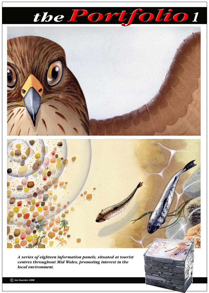 Ian Duerden Portfolio