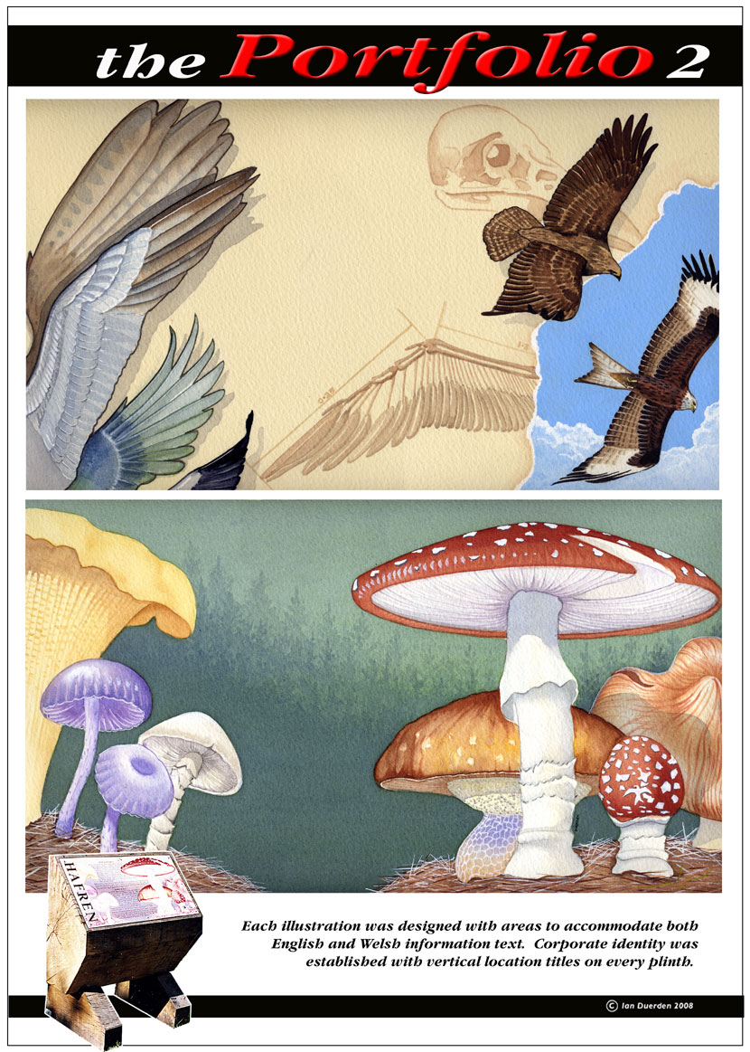 Ian Duerden Portfolio