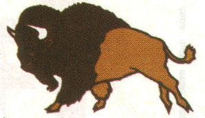 ELECTRICAL WORKERS LOCAL #41 IBEW