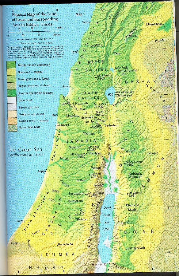 index [www.geocities.ws]