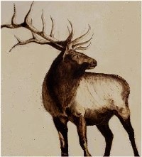 Idaho Gunworks Pyrography!