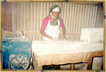 INSTITUTE OF INTEGRATED RURAL DEVELOPMENT (IIRD) -- BANGLADESH