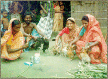 INSTITUTE OF INTEGRATED RURAL DEVELOPMENT (IIRD) -- BANGLADESH