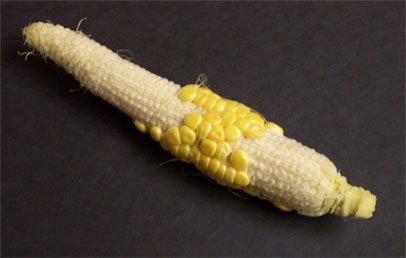 MUTANT CORN!!!
