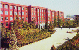 IMU Campus Scences