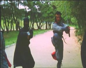 SecretNinjaRoaringTiger