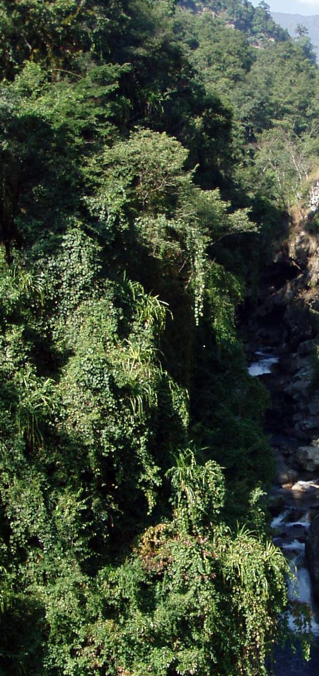 India and Nepal Pictures